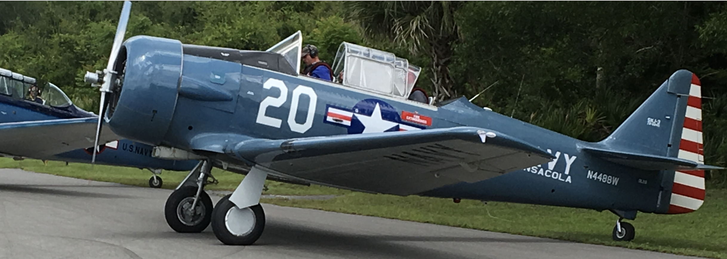 Gallery - Navy Wings